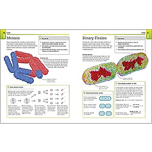 Super Simple Biology: The Ultimate Bitesize Study Guide (DK Super Simple)