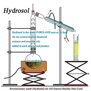 Pureland Beauty Restore Daily Conditioner - Natural Hair Conditioner for Normal to Fine Hair - Sulfate-Free and Plant-Based - 8.5 oz