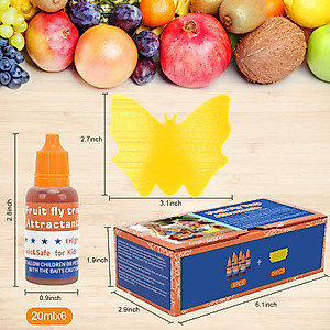Fruit Fly Trap for Indoor- Non-Toxic Insects Bait Refill Liquid Only- Fruit Fly Bait with Sticky Pads- with 6 Packs Fly Trap Refills Liquid Replacement- 24 Packs Fruit Fly Trap Stickers