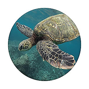 Pop out Cell Phones holder underwater Ocean Sea Turtles PopSockets Swappable PopGrip