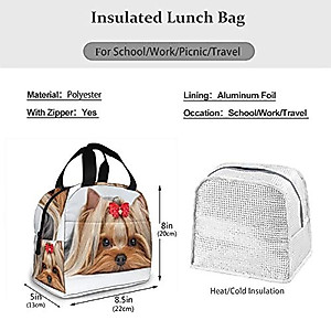 TMVFPYR Lunch Cooler Bag Women Insulated Tote Box Water-resistant Thermal Soft Liner Container for Picnic Travel Beach Fishing Work