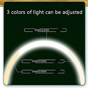 YXYH Cosmetic Organizer with Fan and 360° Rotating LED Mirror 3 Color Adjustable Standing Countertop Multifunctional Makeup Storage Box ( White)