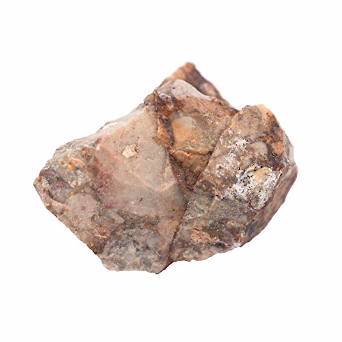 Raw Breccia, Sedimentary Rock Specimen - Approx. 1" - Geologist Selected & Hand Processed - Great for Science Classrooms - Eisco Labs (1)