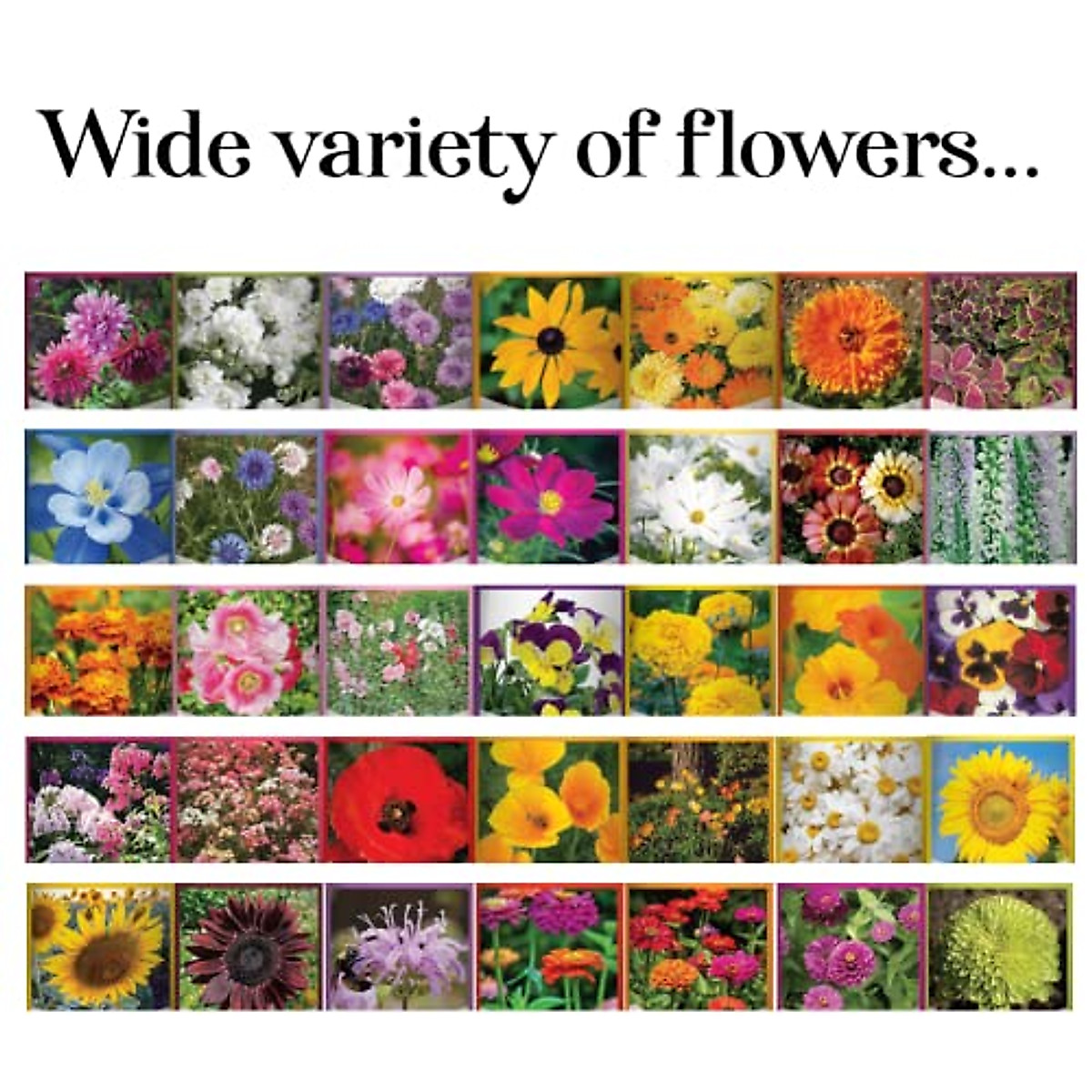 Flower Seeds Packets for Planting 35 Individual Varieties Perennial, Annual, Wildflower Seeds for Planting Outdoors for Bees and Butterflies - Semillas de Flores Hermosas by Gardeners Basics.
