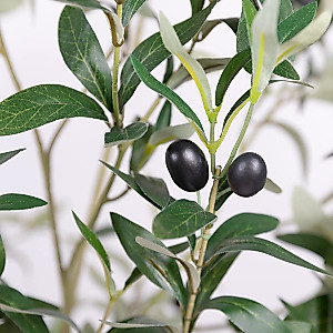 Hobyhoon Artificial Olive Tree, 6FT Tall Faux Silk Plant Artificial Tree in Potted Oliver Branch Leaves and Fruits for Modern Home Decor Indoor
