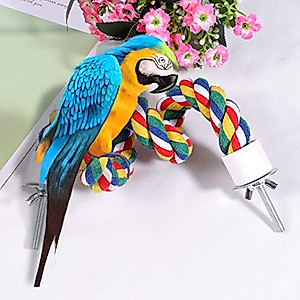 Chicken Swing Large Rope Bird Rope Perches, Comfy Perch Parrot Toys for Rope Bungee Bird Toy (60cm) Rope Bungee Bird Toy