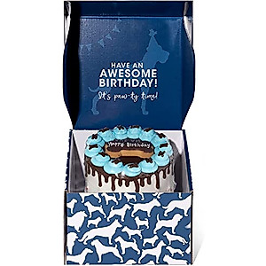 Thoughtfully Pets, Boy Dog Birthday Cookie Cake, Ginger Flavored, Blue 6 Inch Round Solid Biscuit Decorated as a Dog Birthday Cake with Frosting and Sprinkles