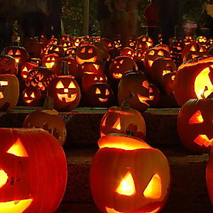 Halloween Pumpkin Carving Kit - 14 Pcs Professional Jack-O-Lanterns Pumpkin Cutting Supplies Tools Kit - Easily Sculpting DIY Halloween with Carrying Case - Carving Knife for Halloween Decoration