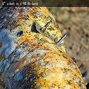 SpitJack Stainless Rotisserie Fork U-Bolt, 5.5 Inches Long Meat Trussing Accessories. 2 Inch Wide Spit Rod Capacity. Rotisserie Parts for Whole BBQ Pig, Hog, Lamb and Turkey. (2 Pack)