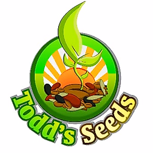 Todd’s Seeds - Alfalfa Sprouting Seeds - Easy to Grow Bulk Alfalfa Seeds - Fast Growing Seeds with High Sprout Germination (1/4 Pound)