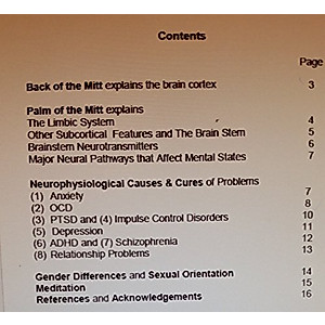 Handy Brain Model B-1.2 (adult medium)