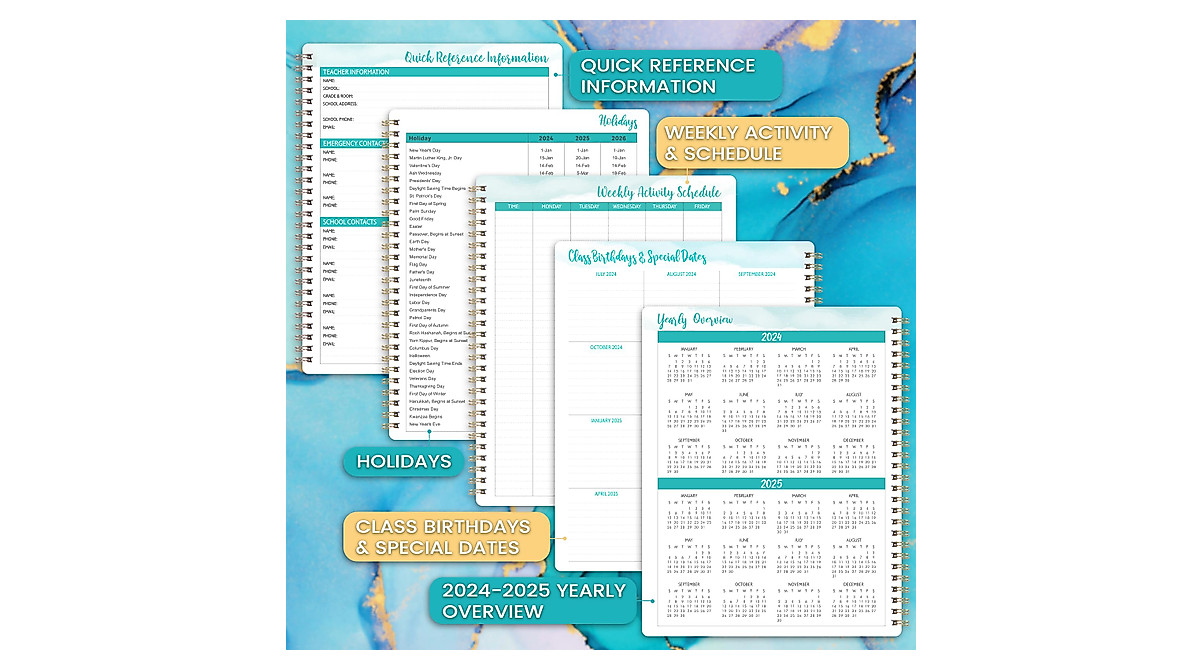 2024-2025 Teacher Planner | Academic Lesson Organizer for Educators