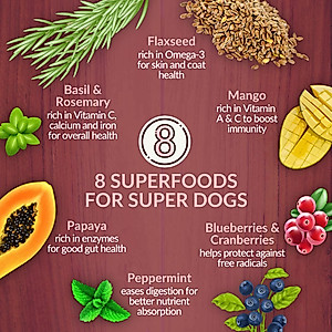 Wishbone Graze New Zealand Beef and Lamb Dry Dog Food, Gluten-Free, Grain-Free Formula for Overall Pet Health - 4 lb