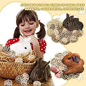 Sosation 24 Packs Guinea Pigs Toys Small Animals Play Balls Chew Gnawing Treats Bunny Toys Hay Grass Balls for Small Animals Entertainment PET Cage Accessories
