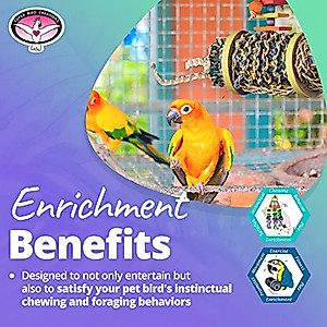 Super Bird Creations SB687 Firecracker Jr. Bird Toy, Medium Bird Size, 18" x 8"