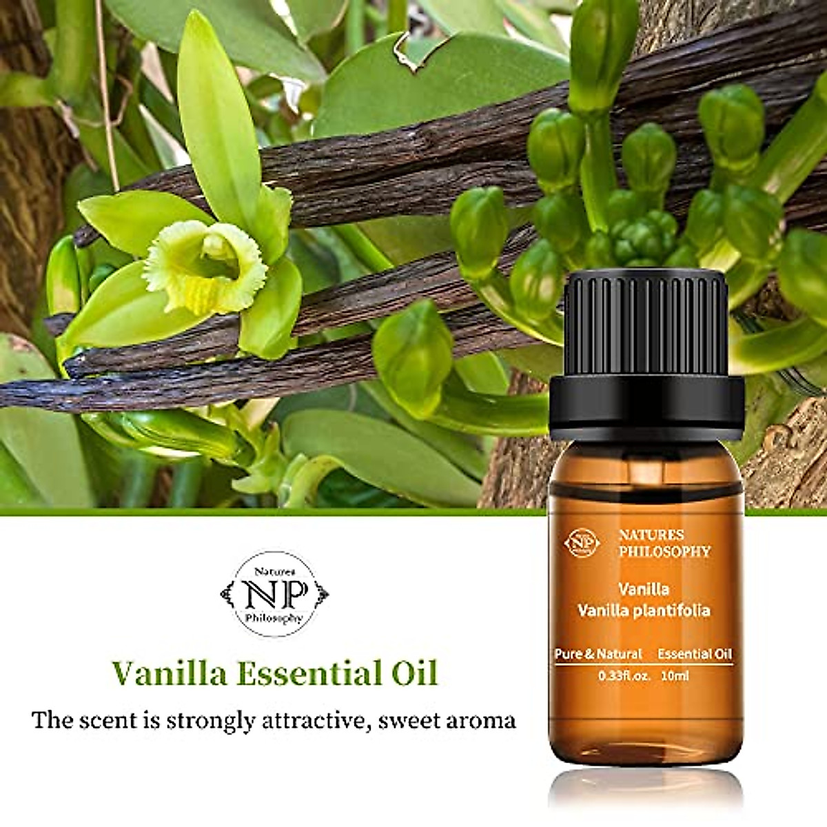 Vanilla Essential Oil - Pure and Natural Vanilla Essential Oil for Diffuser & Aromatherapy, Skin Care, Soap Making and Home Fragrance - 10ML