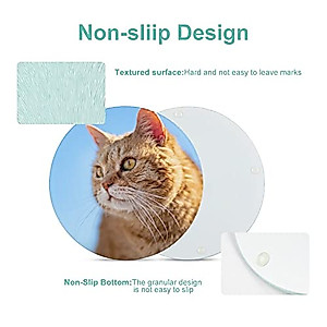 Orange Cat Tempered Glass Cutting Board Heat Resistant For Bread Meat Fruit 7.9 in