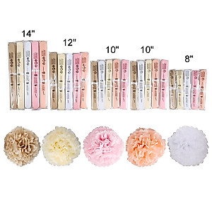 25PCS Tissue Paper Pom Poms Pink Paper Flowers DIY Paper Craft Decorations for Baby Shower Party Decorations, Birthday Party, Wedding Decor, Valentines Day, Bridal Shower Decorations-Pink mix