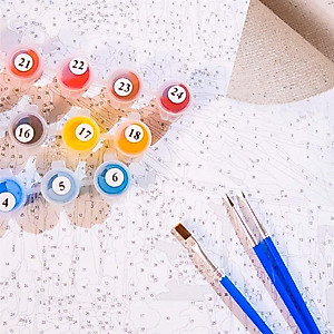 OfFsum Paint by Numbers for Adults Kids Beginner Art Football Helmet 9 DIY Acrylic Painting by Numbers Kits with Brushes Acrylic Pigment Home Decoration Brithday Gifts 16 x 20 inch