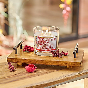 Peppermint Scented 3-wick Candle in Glass Jar | Candles for Home | 14.5oz Rustic Home Decor Novelty Candle | 60 Hour Burn Time Candle