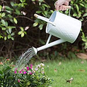 HORTICAN 1 Gallon Watering Can with Wooden Handles, White Metal Can with Removable Spout, Perfect for Indoor and Outdoor Plants
