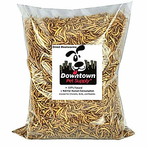 Downtown Pet Supply 1/2 lb Dried Mealworms for Wild Birds, Poultry, Reptiles, and Small Mammals Rich in Vitamin B12, B5, Protein, Fiber, and Omega 3 Fatty Acids - Great as Mealworms for Chicken