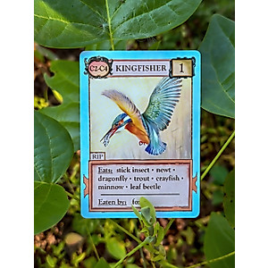 Montrose Biology Ecologies: Bizarre Biomes - Use Science to Build Food Webs in 7 Biomes - Beautiful Vintage Nature Art for The Classroom or Game Night