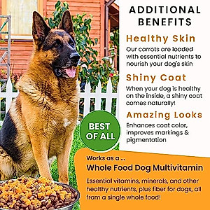 Olewo Original Carrots for Dogs – Fiber for Dogs Keep Poop Firm, Digestive Dog Food Topper, Skin & Coat Support, Dehydrated Whole Food Dog Multivitamin, Gut Health for Dogs, 2.2 lbs