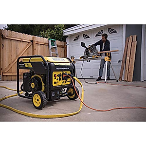 Champion Power Equipment 100520 8750-Watt DH Series Open Frame Inverter, Electric Start