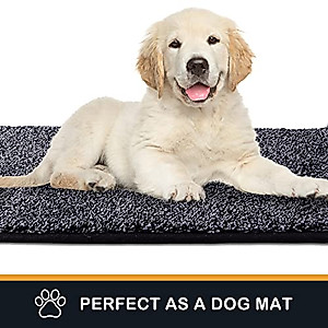PURRUGS Dirt Trapper Indoor Door Mat 20" x 31.5", Non-Slip Machine Washable Entrance Rug, Shoes Scraper, Dog Door Mat, Super Absorbent Welcome mat for Front Door, Entry, Muddy Wet Shoes and Paws