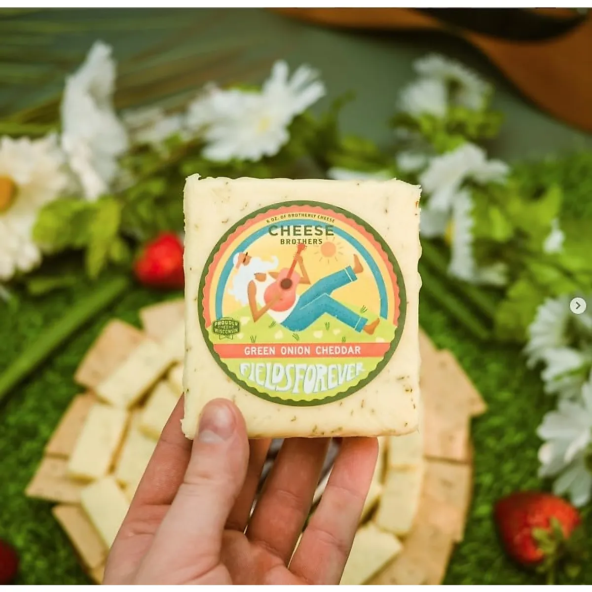 Cheese Bros. Cheddar Cheese | Made in Wisconsin (Variety Pack, 4 Count)