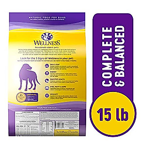 Wellness Complete Health Dry Dog Food with Grains, Natural Ingredients, Made in USA with Real Meat, All Breeds, For Adult Dogs (Chicken & Oatmeal, 15-Pound Bag)