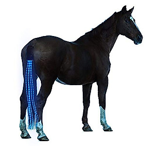HABADOG 55cm/100cm Horse Tail USB Light Chargeable LED Crupper Horse Harness Equestrian Horse Riding Cheval Equitation (Color : 100cm Blue)