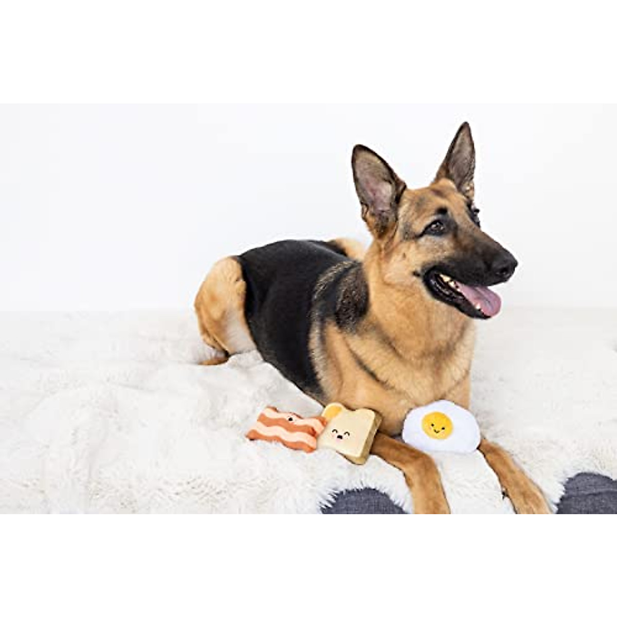 Pearhead Barkfast Dog Toys, Set of 3, Plush Pet Squeaker Toys, Breakfast Dog Toy Set, Toast Bacon & Egg Toy Set, Must Have Pet Accessories for Pet Owners