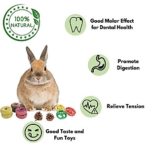 Lacrima Rabbit Chew Toys Donuts 13PCS - All Natural Bunny Toys, Guinea Pig Toys, Hamster Toys, Rabbit Toys, Intestine Teeth Health Treats for Guinea Pig, Rabbit, Bunny, Chinchilla, Hamster