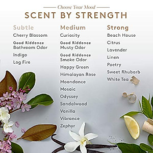 Aera Linen Home Fragrance Scent Refill - Notes of Bright Citrus and Juniper Berries - Works with The Aera Diffuser