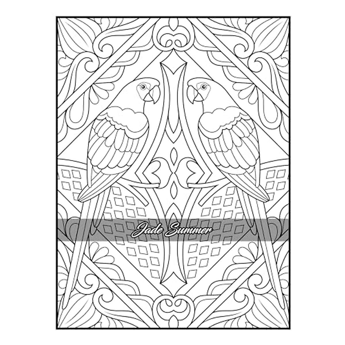 100 Amazing Patterns: An Adult Coloring Book with Fun, Easy, and Relaxing Coloring Pages