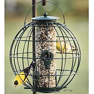 Backyard Essentials Orb Caged Seed Feeder for Wild Birds, Petite Orb Caged Seed Feeder for Outdoors