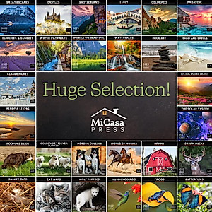 MICASA Gorgeous Pathways 2023 Hangable Monthly Wall Calendar | 12" x 24" Open | Thick & Sturdy Paper | Giftable | A Guiding Path