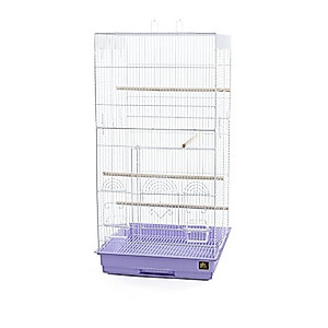 Prevue Pet Products SPECONO1818H-PB Tall Tiel Cage, Periwinkle Blue