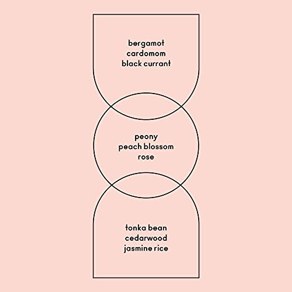 Les Boy Smells Candle | 50 Hour Long Burn | Coconut & Beeswax Blend | Luxury Scented Candles for Home (8.5 oz)