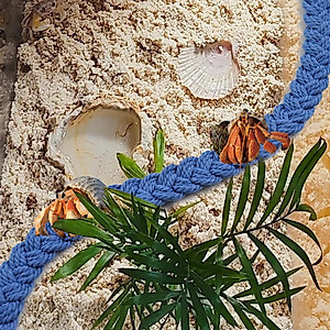 MUYG 2PCS Hermit Crab Climbing Toys,Hermit Crab Rope Ladder Decor Reptile Hanging Vines Toys Hermit Crab Supplies Reptiles Habitat Tank Terrarium Accessories for Lizard Leopard Gecko Tree Frog(Blue)