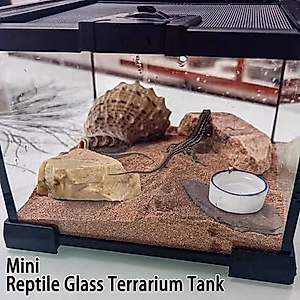 BNOSDM Reptile Tank,8" x 8" x 6" Mini Reptiles Terrarium,Full View Young Lizard Glass Tank,Small Amphibians Habitat Enclosure Cage for Tarantula,Frog,Hermit Crab,Isopods,Insects Breeding Box