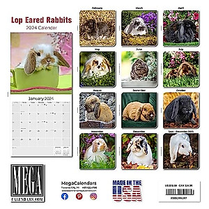 2023 2024 Lop Eared Rabbit Calendar - Cute Animal Monthly Wall Calendar - 12 x 24 Open - Thick No-Bleed Paper - Giftable - Academic Teacher's Planner Calendar Organizing & Planning
