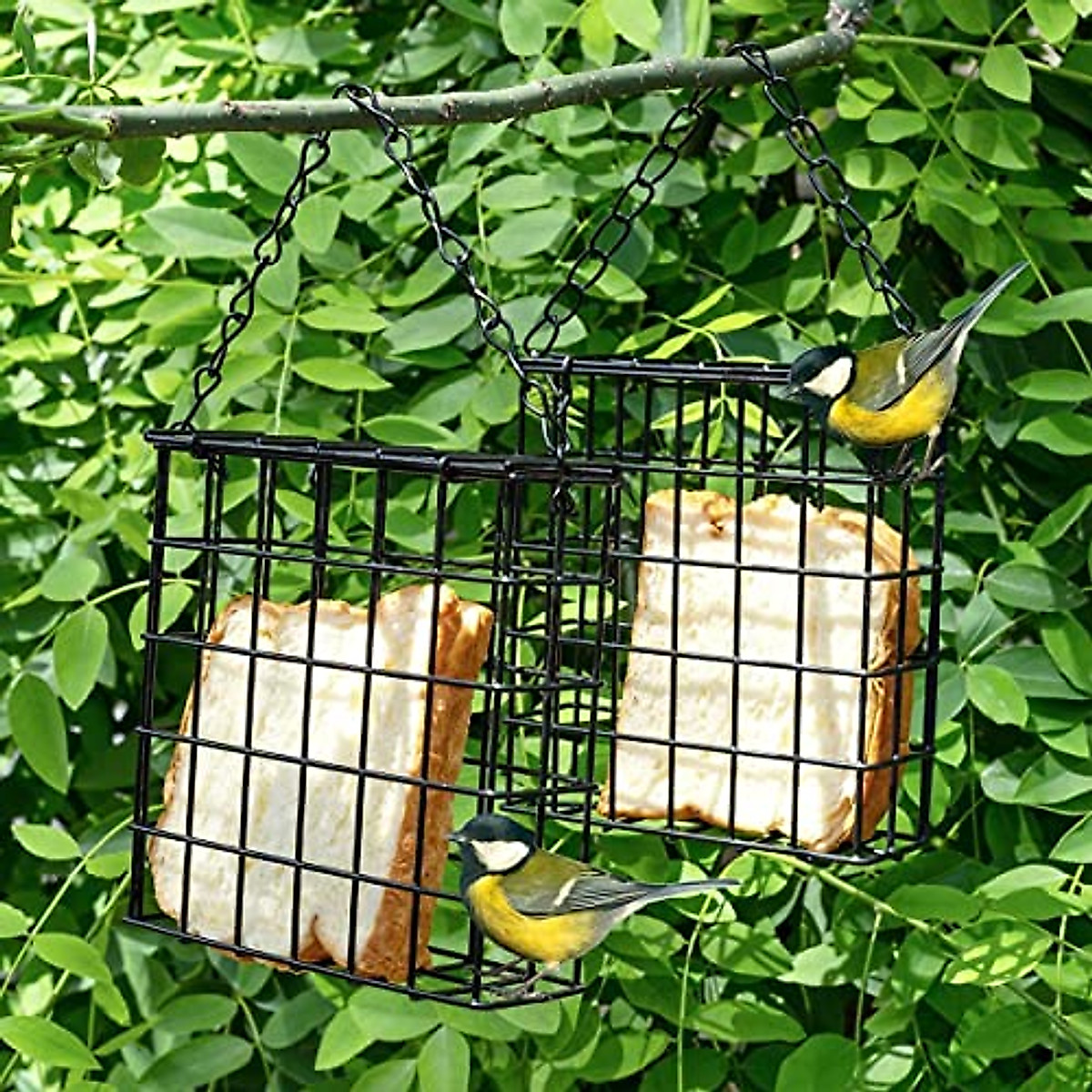Suet Bird Feeders for Outside Hanging - Pack of 2 pcs x Single Suet Cake Capacity Basket/Cage for Feeding Wild Birds Outdoors/Backyard/Garden