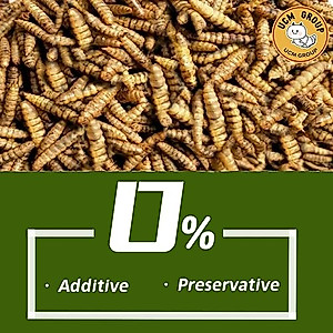 UCM Group 10LB Dried Black Soldier Fly Larvae for Chickens, Birds and Small Pets, High in Calcium