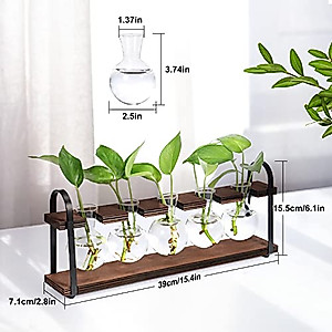 THYGIFTREE Plant Propagation Stations with Wooden Stand, Desktop Retro Plant Terrarium Bulb Vase for Indoor Hydroponic Flowers, Tabletop Glass Planter Housewarming Gifts for Plant Lovers