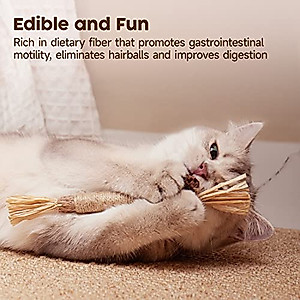 Potaroma 3 Pack Natural Silvervine Sticks Cat Toys, Catmint Silvervine Blend Sticks, Catnip Kittens Chew Toys for Teeth Cleaning, Matatabi Dental Care Cat Treat, Edible Kitty Lick Toys