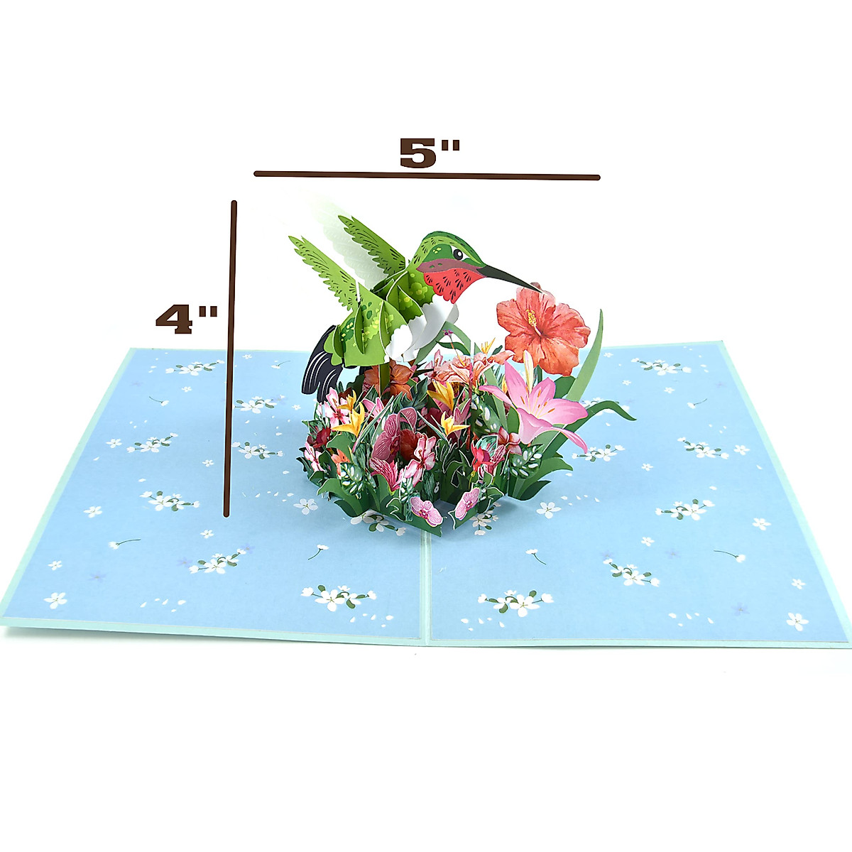 Hummingbird Pop Up Card, Birthday Card, Mother's Day Card, Summer Card, Thinking of You, Bird Lovers