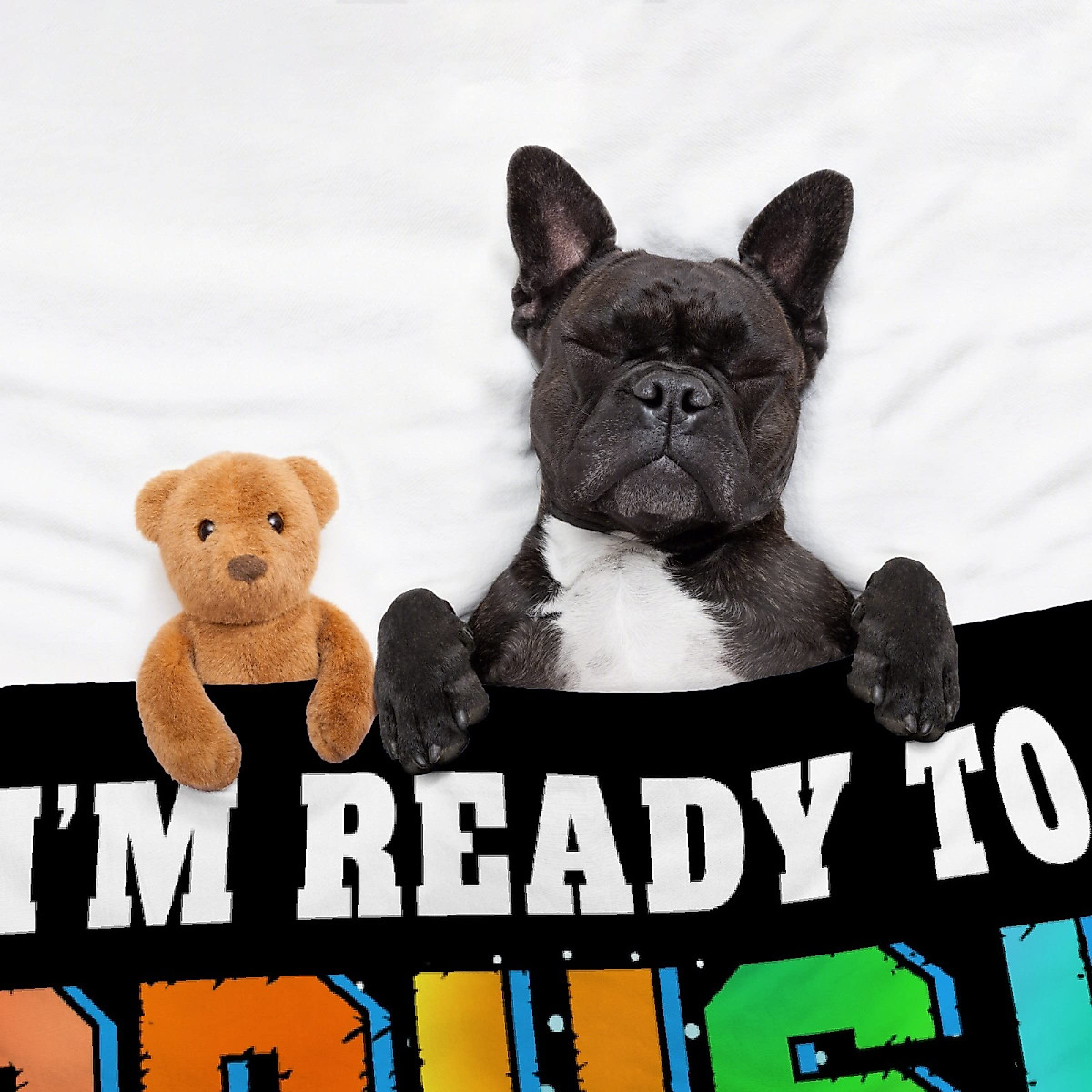 Gaming Blanket, I'm Ready to Crush 2nd Grade Back to School Video Game, Good Gift for Girl Boy, Extra Small 40" x 30" for Pet,Lightweight Flannel Soft and Comfortable, ARAHANT